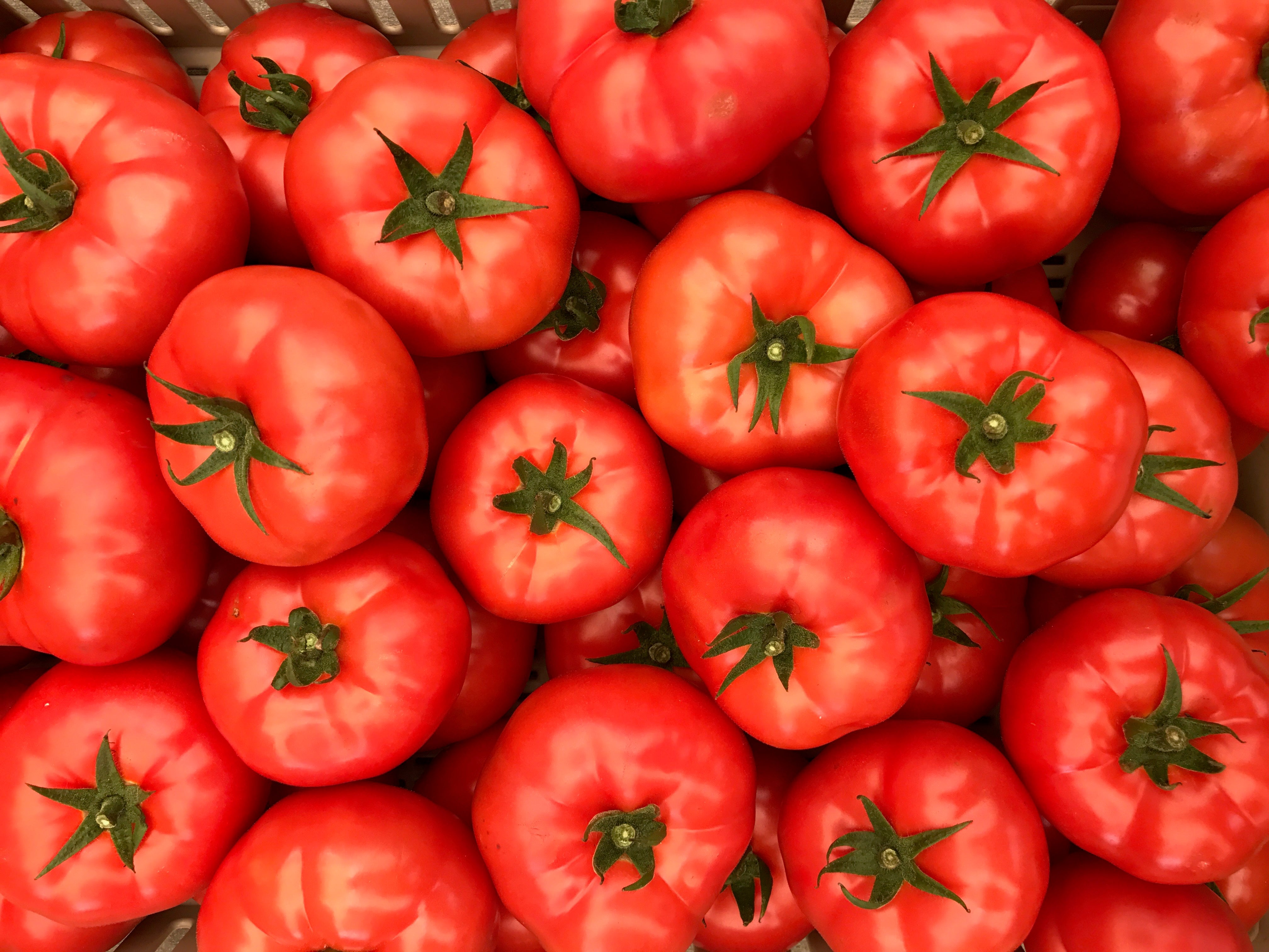 Dassi Family Farm | Local Organic Tomatoes & Basil