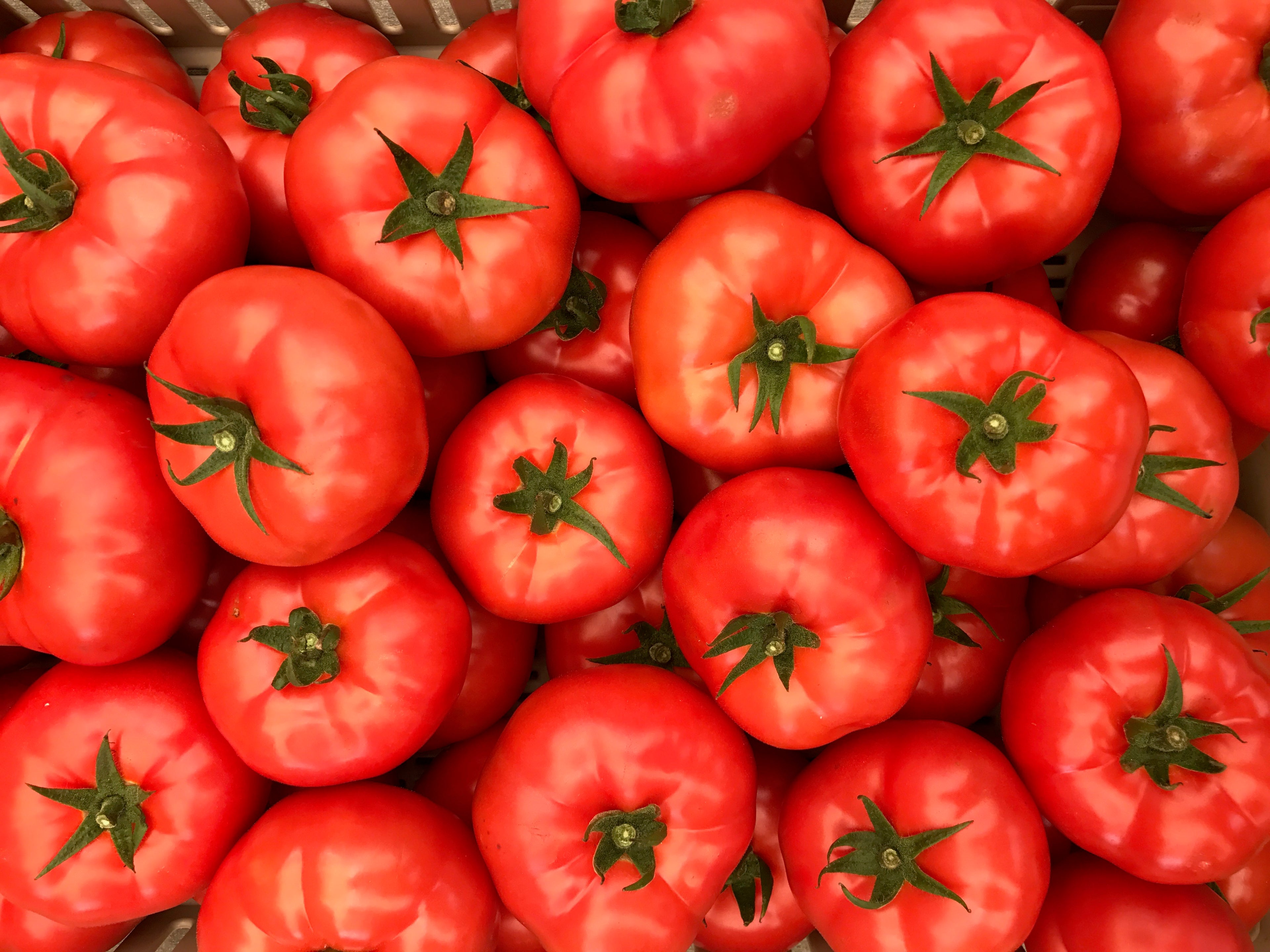 Dassi Family Farm | Local Organic Tomatoes & Basil