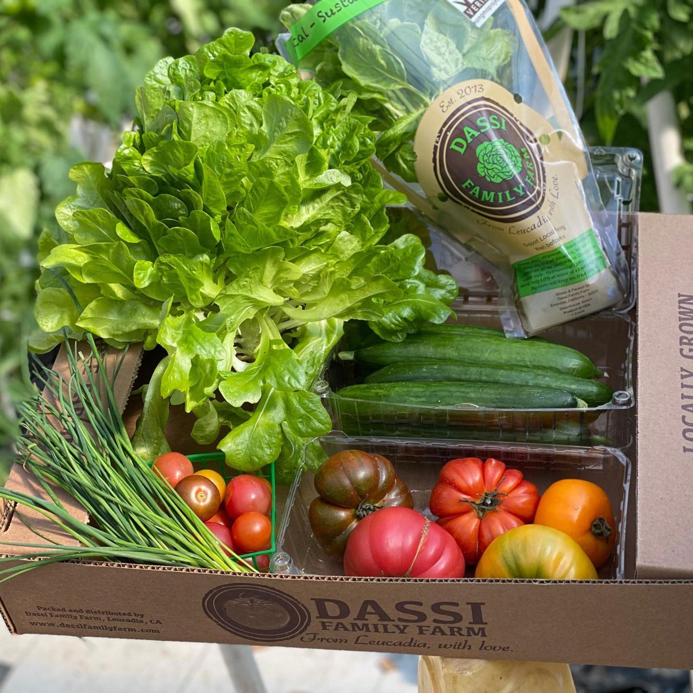 Dassi Family Farm | Local Organic Tomatoes & Basil